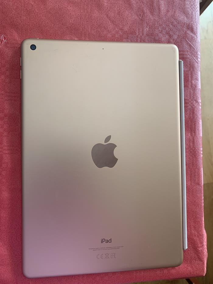 IPAD 7 GENERAZIONE 32 GB ORO ROSA